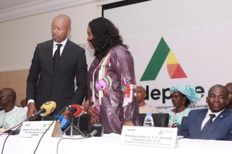 Portail Grand Public